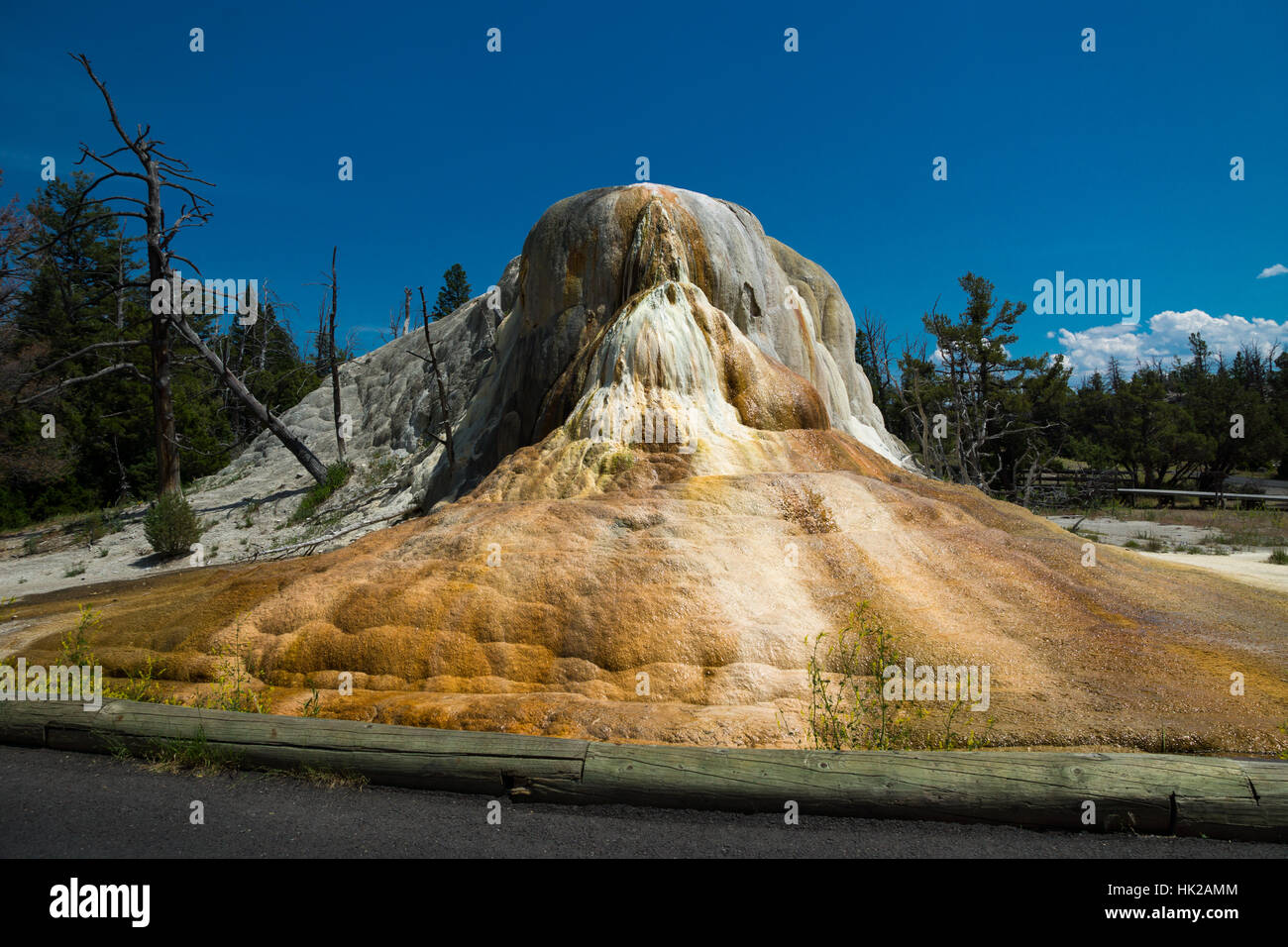 Mammoth Hot Springs, Yellowstone National Park, Wyoming, USA Stock ...
