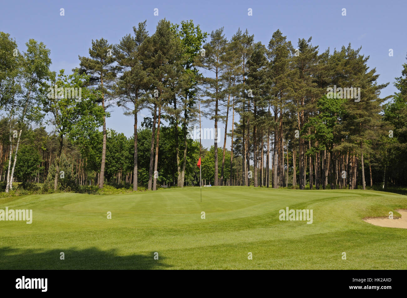 8th Green on the Longcross Course, Foxhills Club and resort, Ottershaw ...