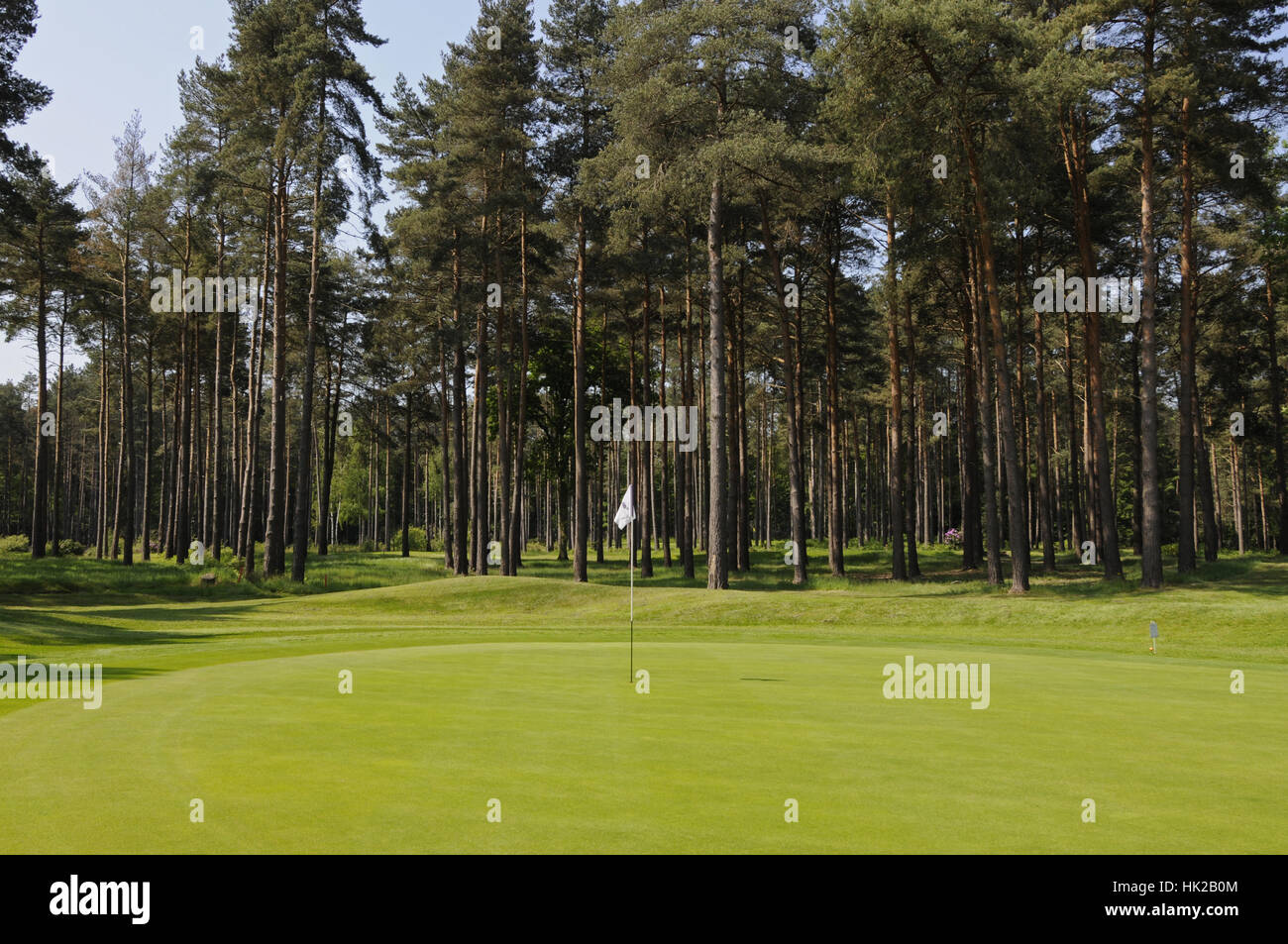 4th Green on the Longcross Course, Foxhills Club and resort, Ottershaw ...