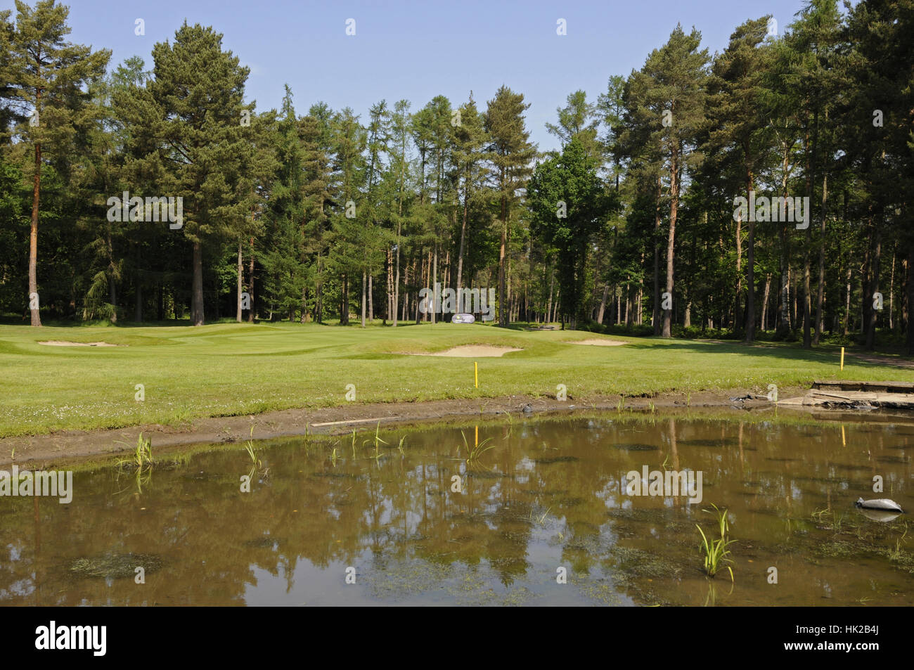 16th Green and pond on the Longcross Course, Foxhills Club and resort ...