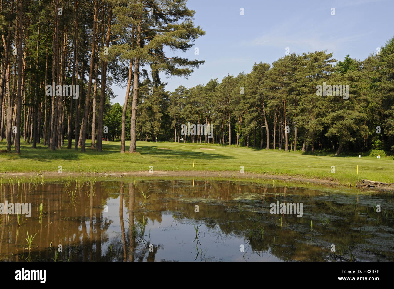 Longcross course hi-res stock photography and images - Alamy