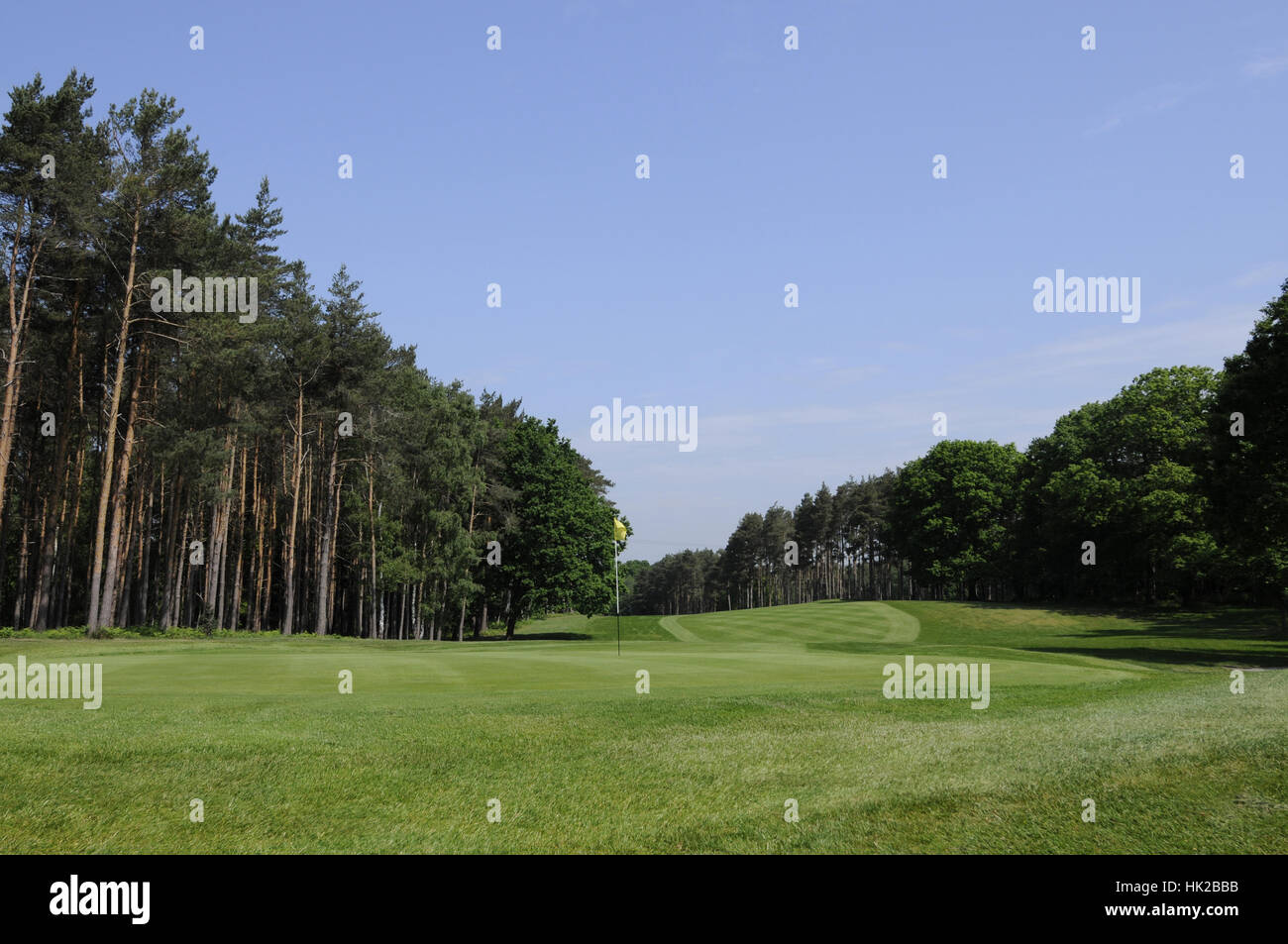 Longcross course hi-res stock photography and images - Alamy