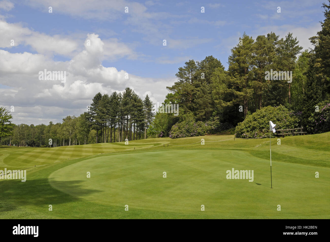 Bernard hunt course hi-res stock photography and images - Alamy