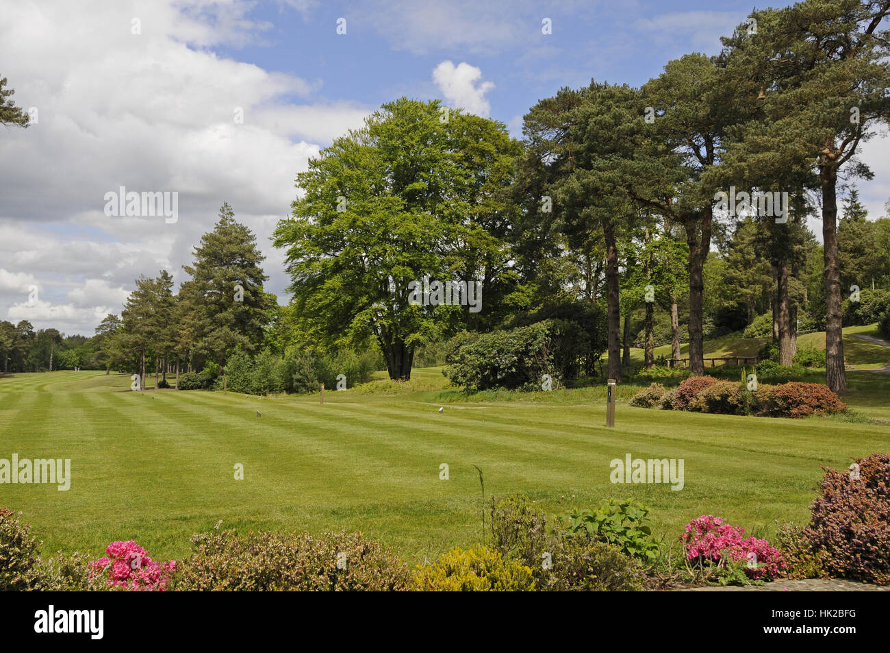 View from behind the 1st Tee on the Bernard Hunt Course from the ...