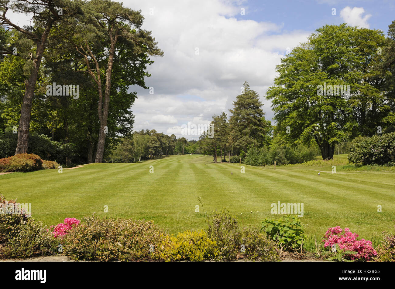 Bernard hunt course hi-res stock photography and images - Alamy