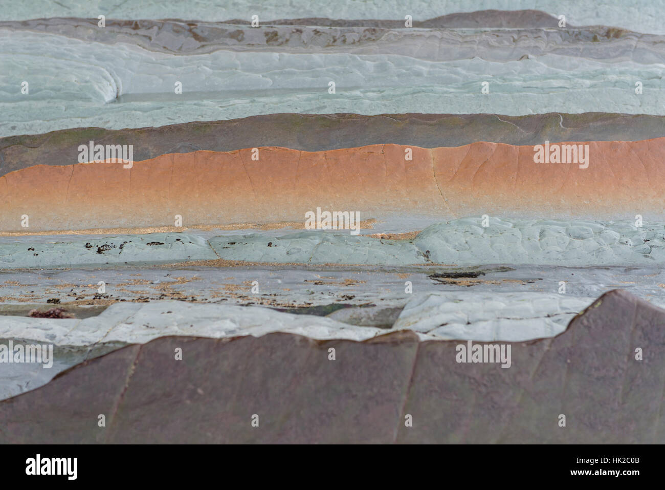 Flysch sediment hi-res stock photography and images - Alamy