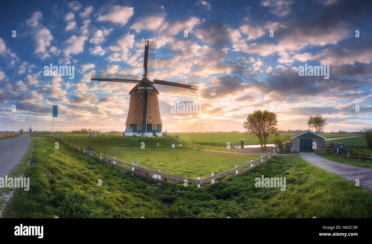 Windmill at sunrise in Netherlands. Beautiful old dutch windmill, green ...
