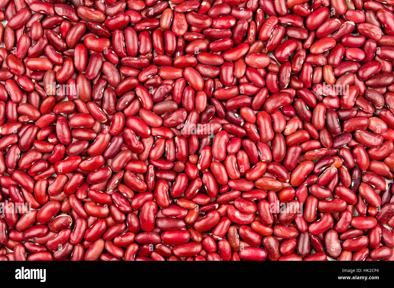 beans, legume, leguminous plants, structure, backdrop, background, red ...