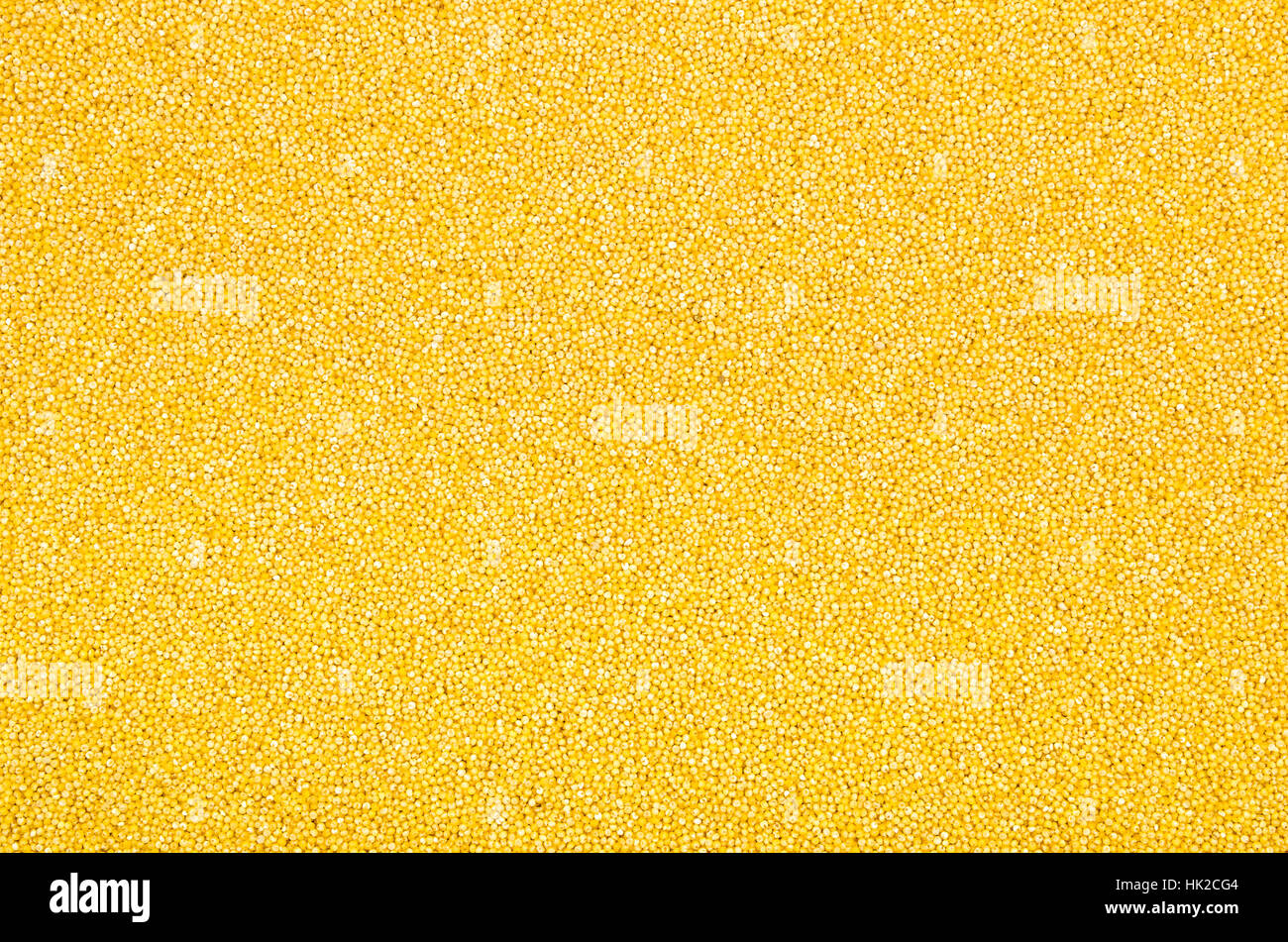 dried, millet, structure, backdrop, background, nutrition, texture ...