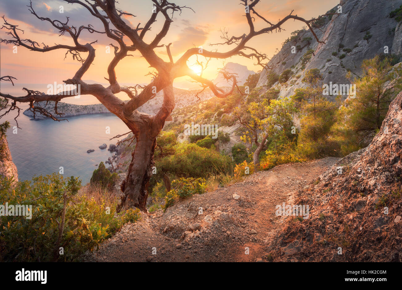 Forest landscape with rocks hi-res stock photography and images - Alamy