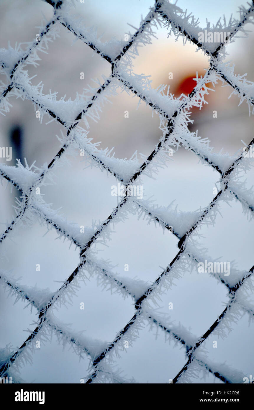 Its extra cold today Stock Photo - Alamy