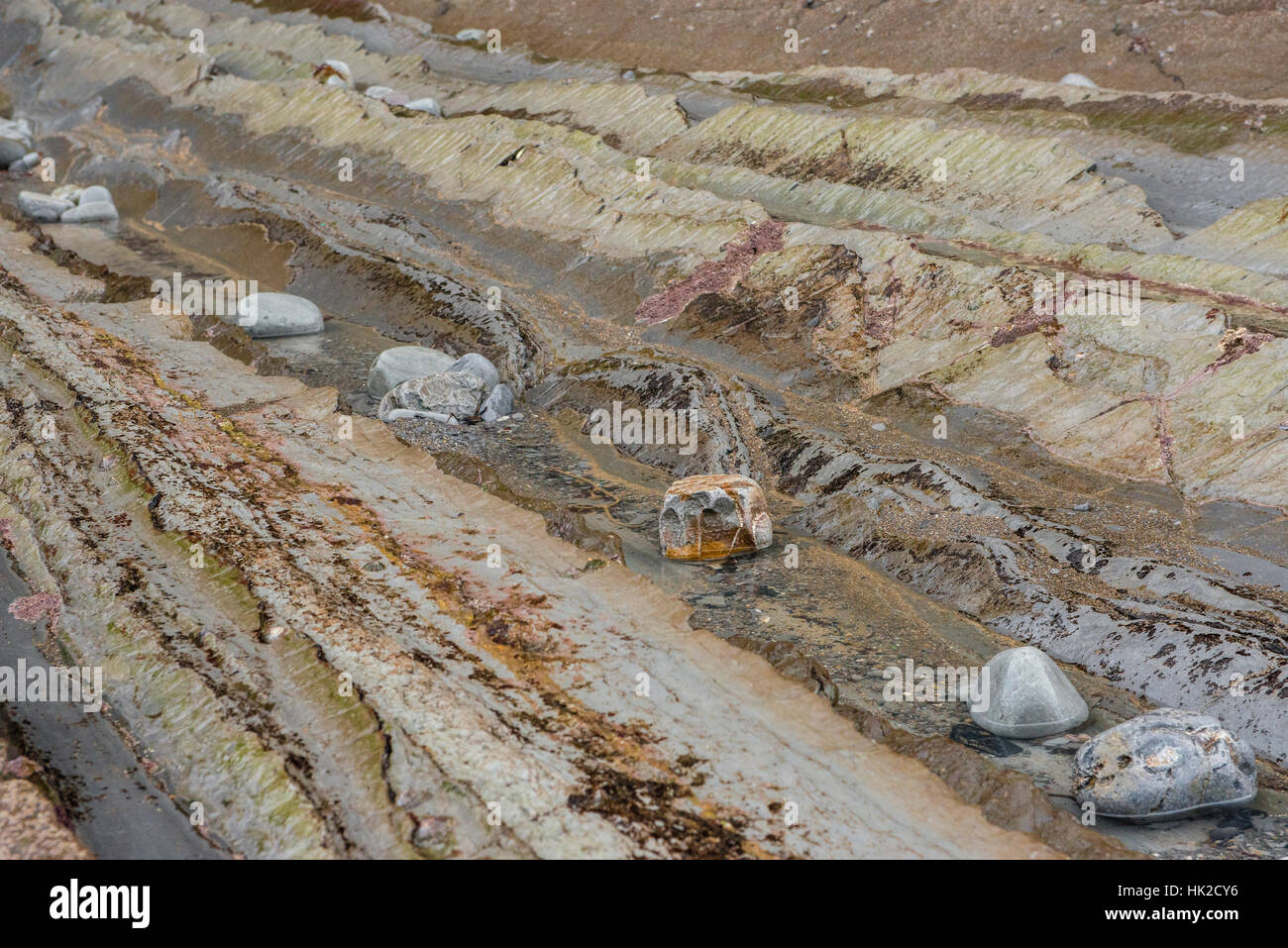 Flysch sediment hi-res stock photography and images - Alamy