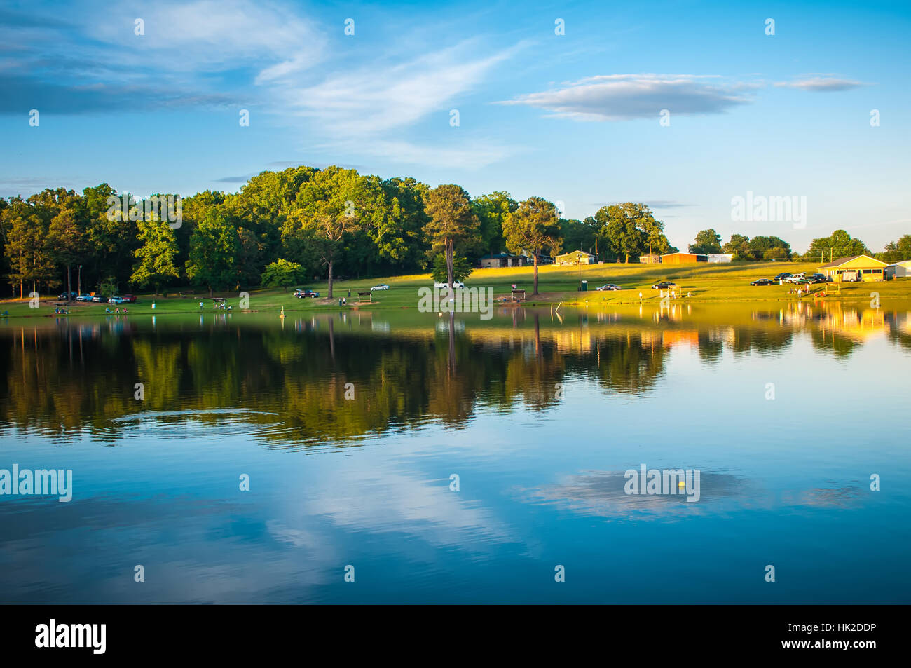 blue, beautiful, beauteously, nice, environment, enviroment, tree ...
