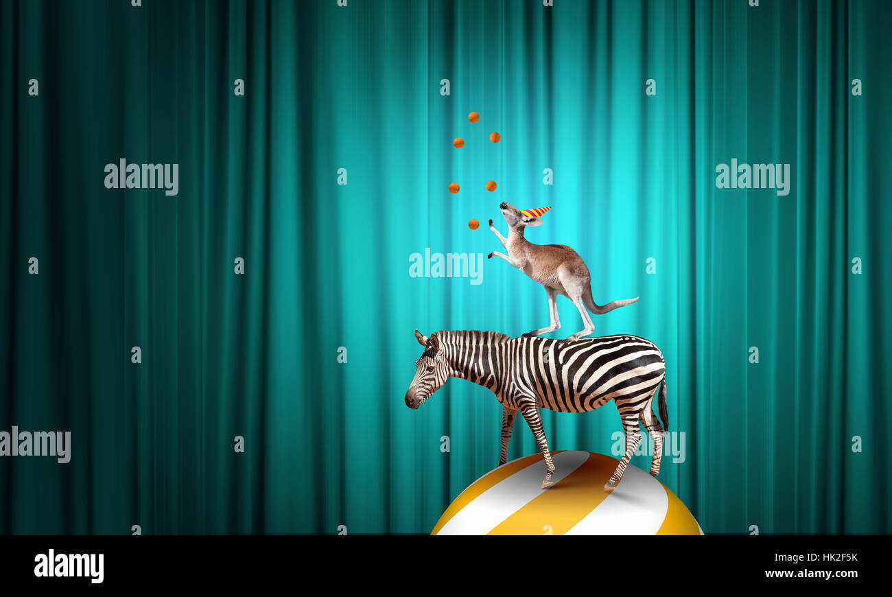 Circus animals standing in stack and balancing on ball Stock Photo - Alamy
