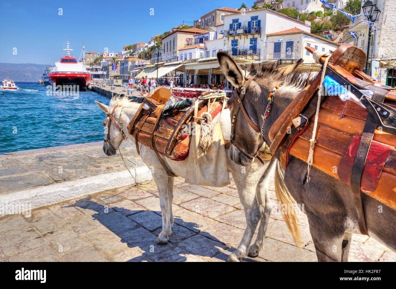ride, greece, greek, donkey, port, island, hydra, isle, cafe, profile ...