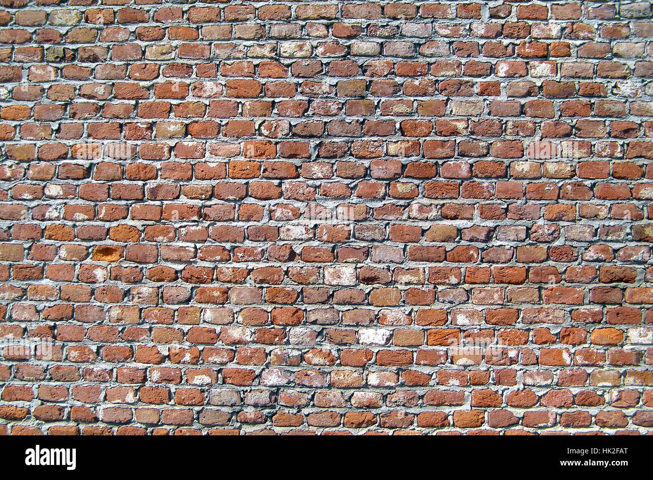 brick, medieval, english, ancient, bond, flemish, wall, brick, medieval ...