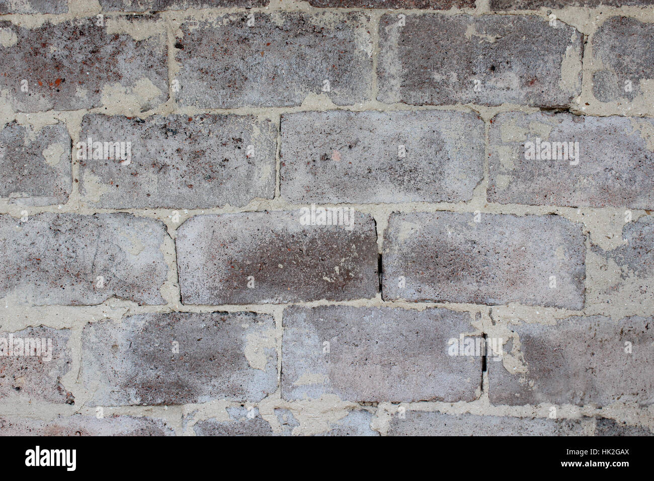 brown, brownish, brunette, architect, aged, bricks, backdrop ...