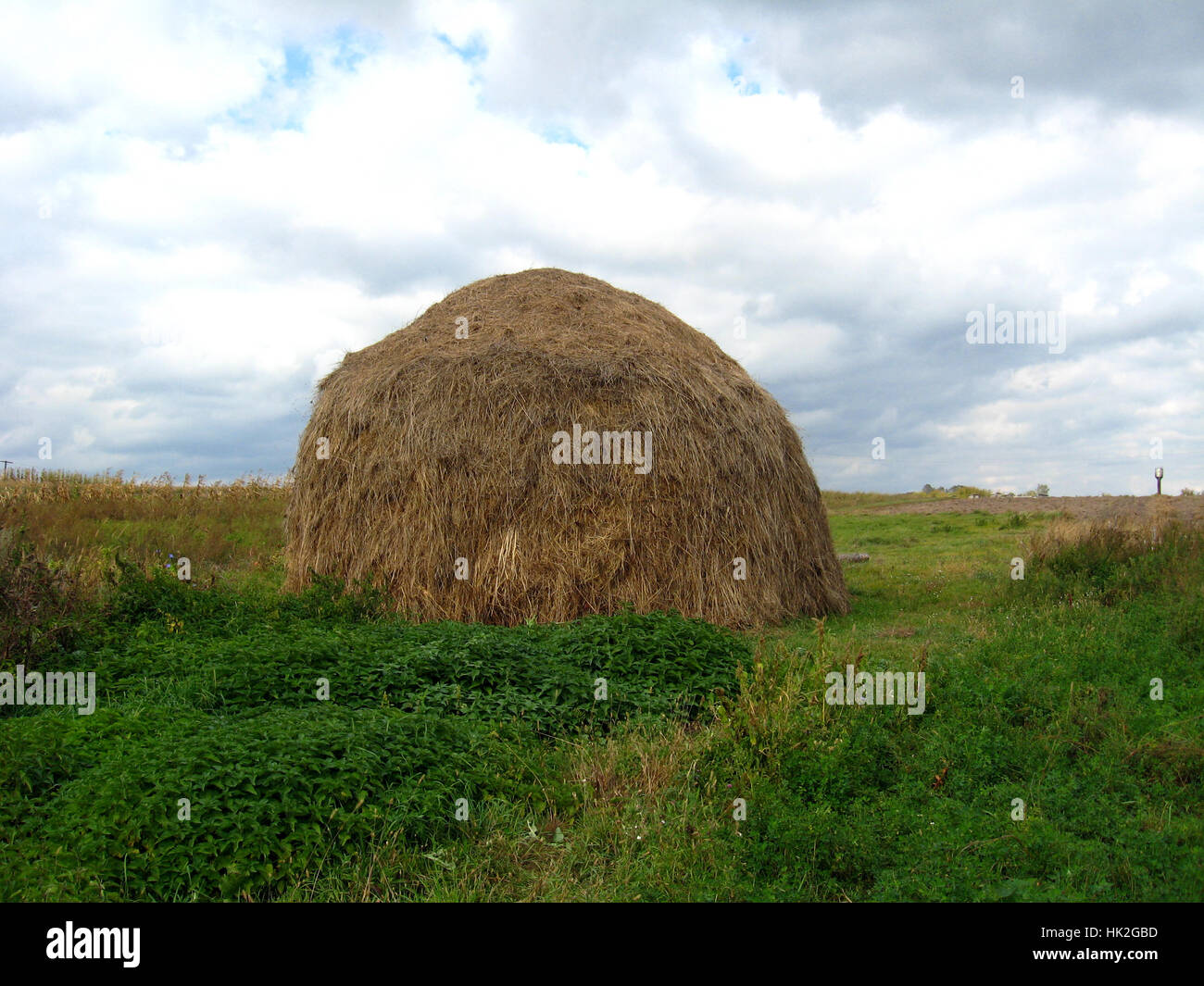 hay, hayloft, deposits, forage, meadow, grass, lawn, green, grey, gray ...