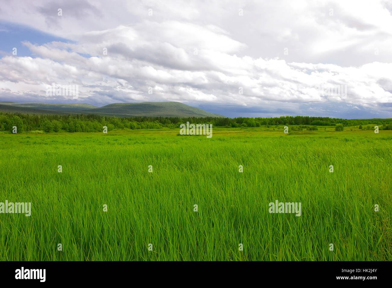 blue, beautiful, beauteously, nice, environment, enviroment, colour ...