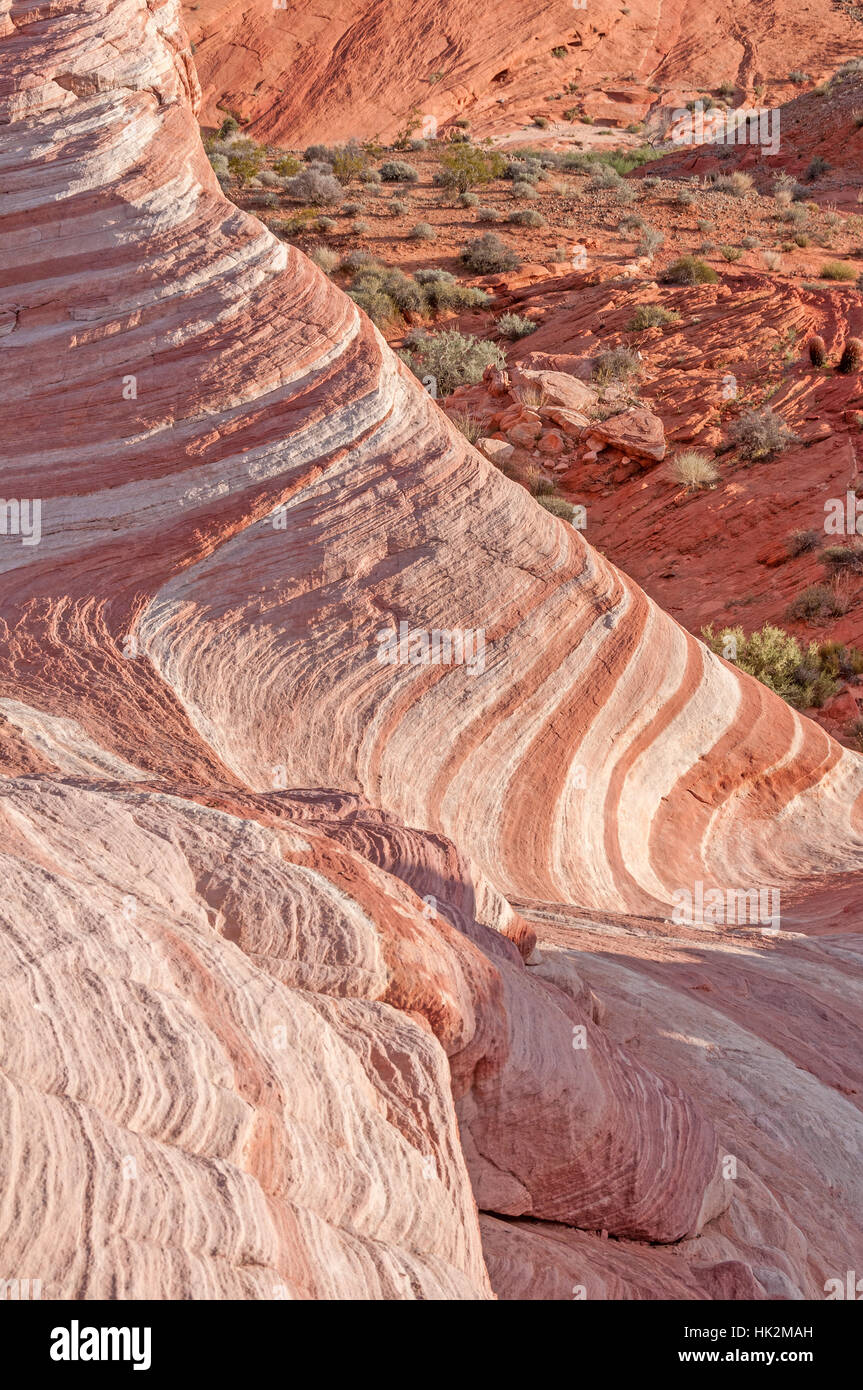 story, usa, america, sight, view, outlook, perspective, vista, panorama ...