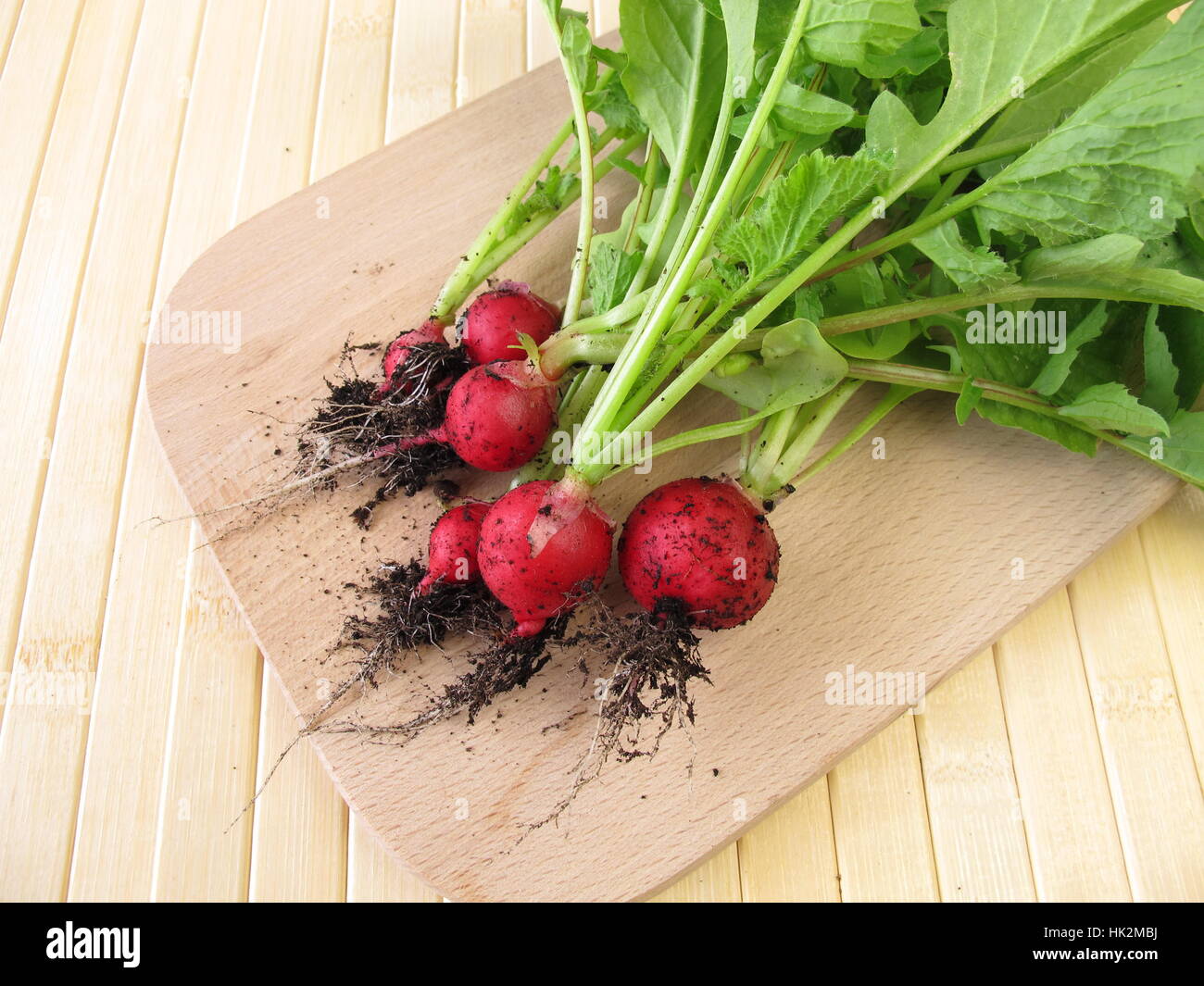 root, radish, topsoil, radishes, garden, vegetable, root, radish ...