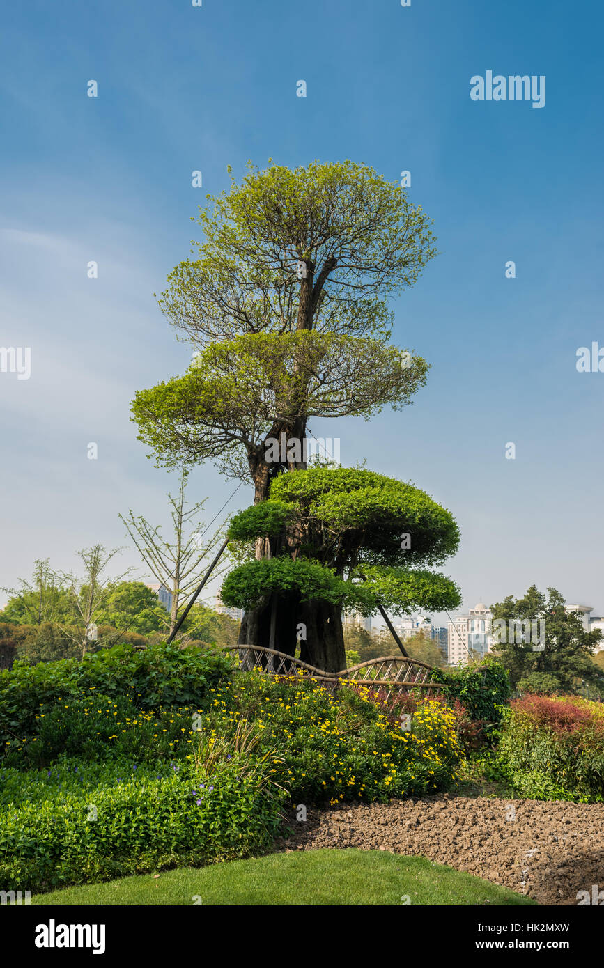 Shanghai gucheng park hi-res stock photography and images - Alamy