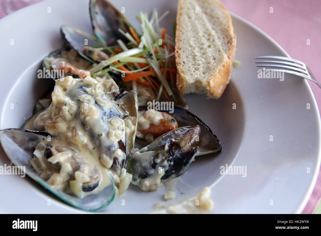 cream, seafood, food, dish, meal, supper, dinner, shells, mussels ...
