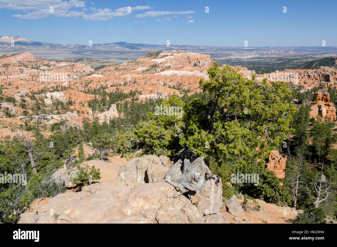 environment, enviroment, colour, america, erosion, color, environment ...