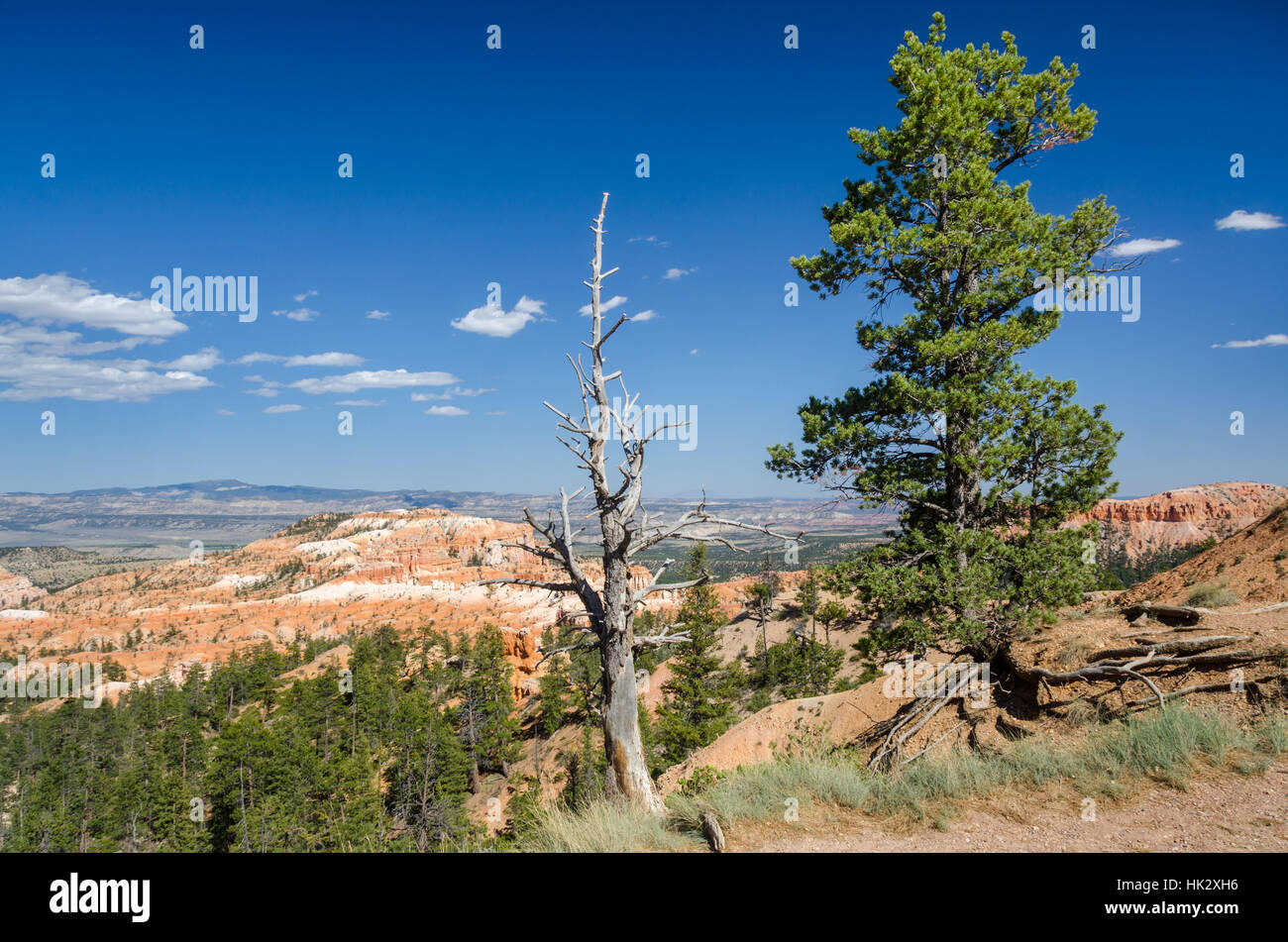 environment, enviroment, colour, america, erosion, color, environment ...