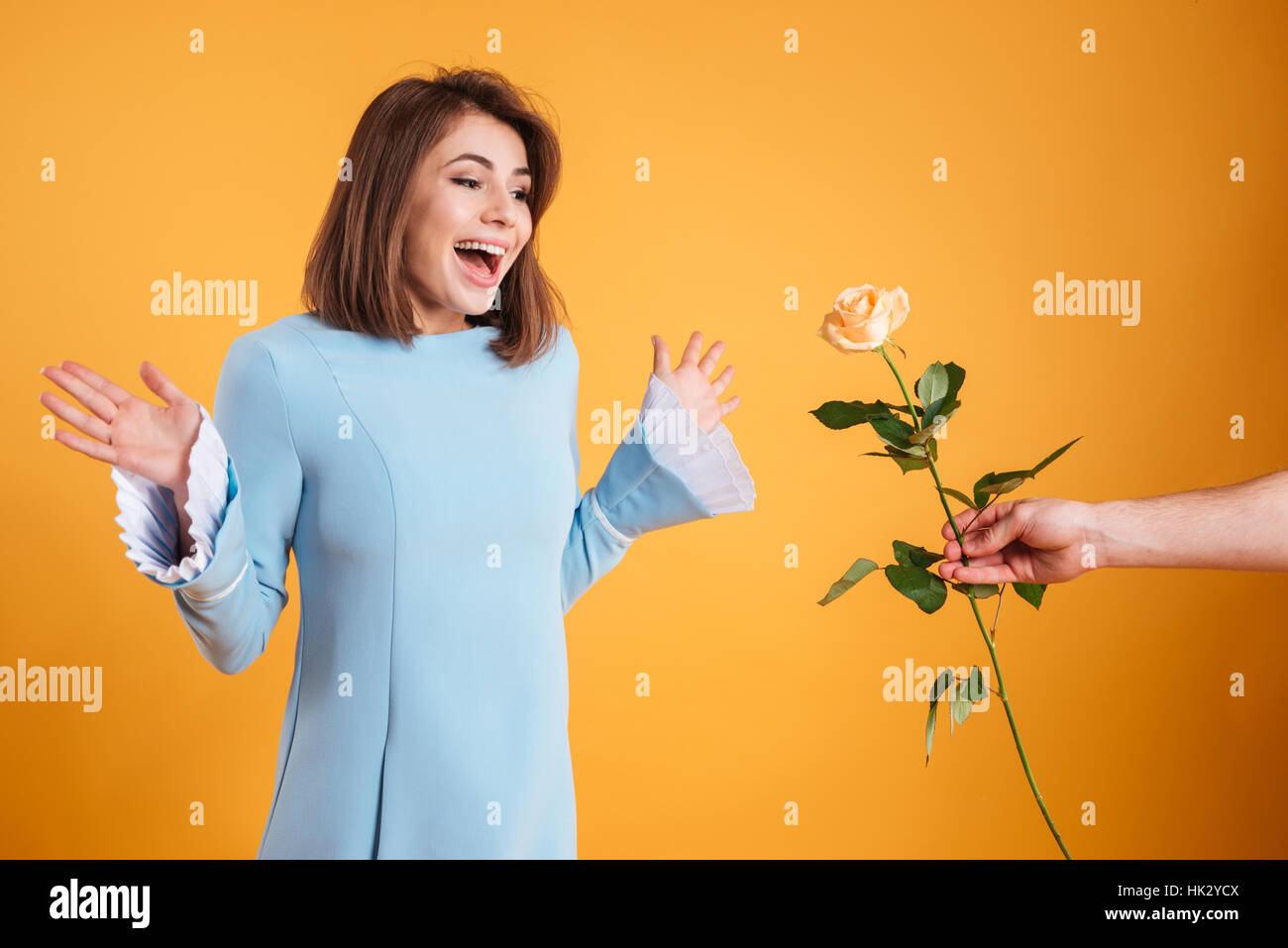 Surprised excited young woman standing and receiving pink rose over ...
