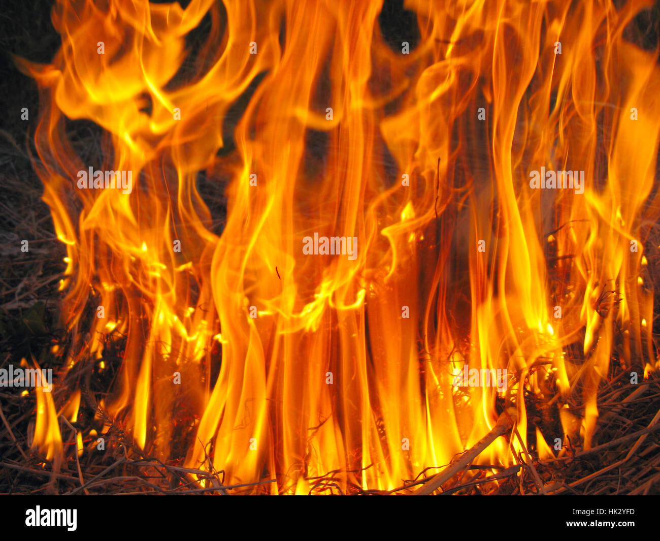 forest body of flame inflaming in a field Stock Photo - Alamy