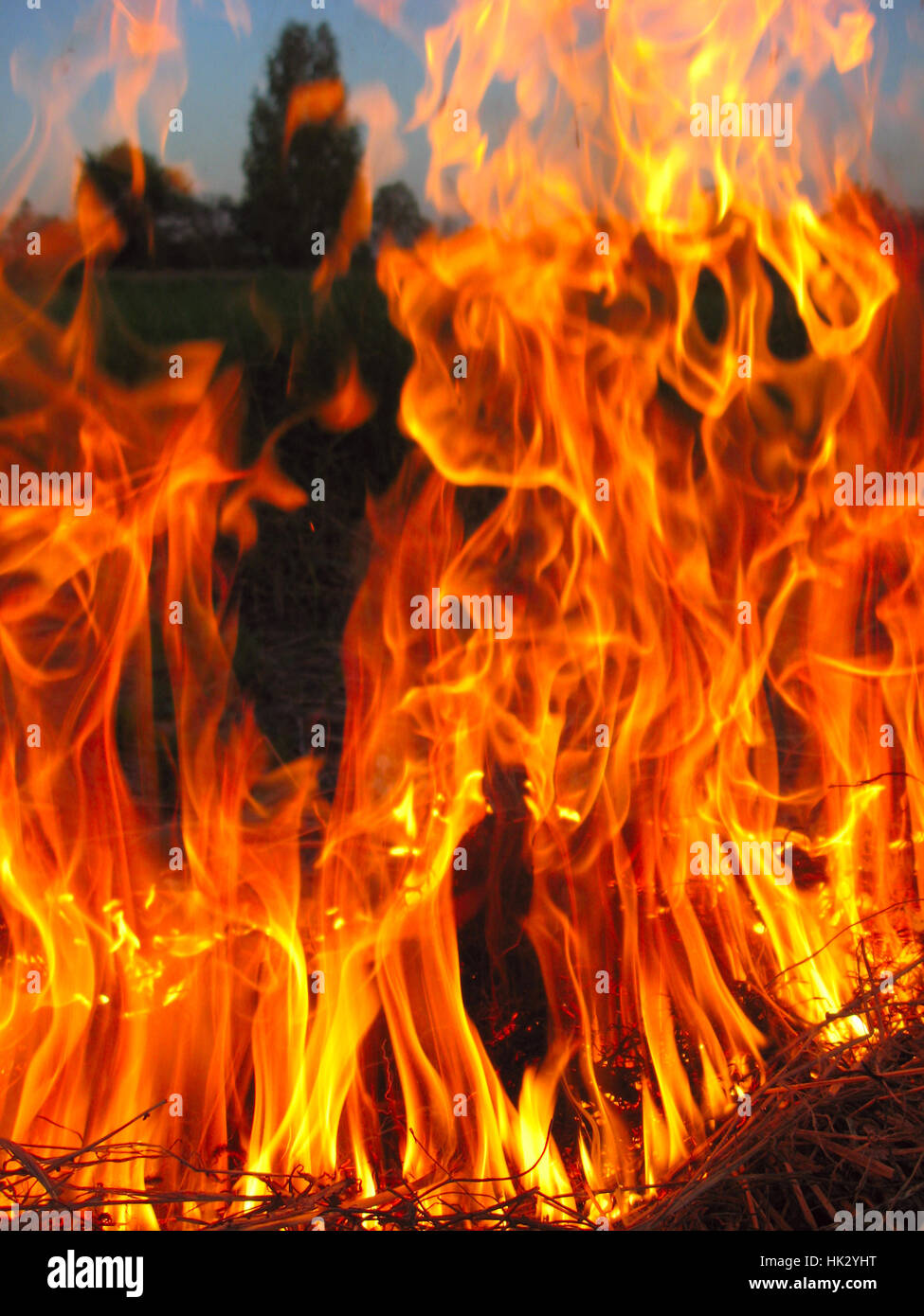 forest body of flame inflaming in a field Stock Photo - Alamy