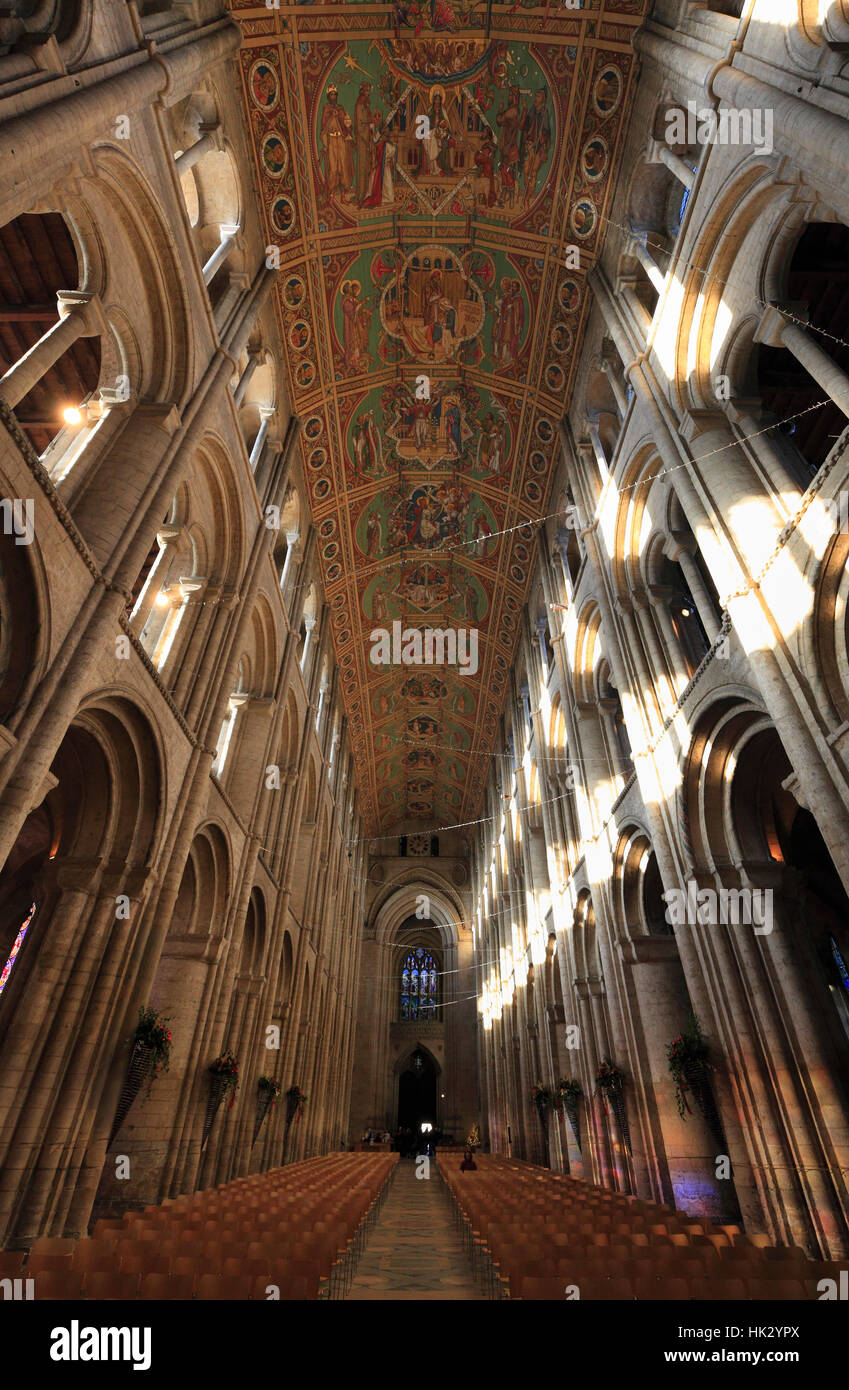 Ely cathedral nave painted ceiling hi-res stock photography and images ...