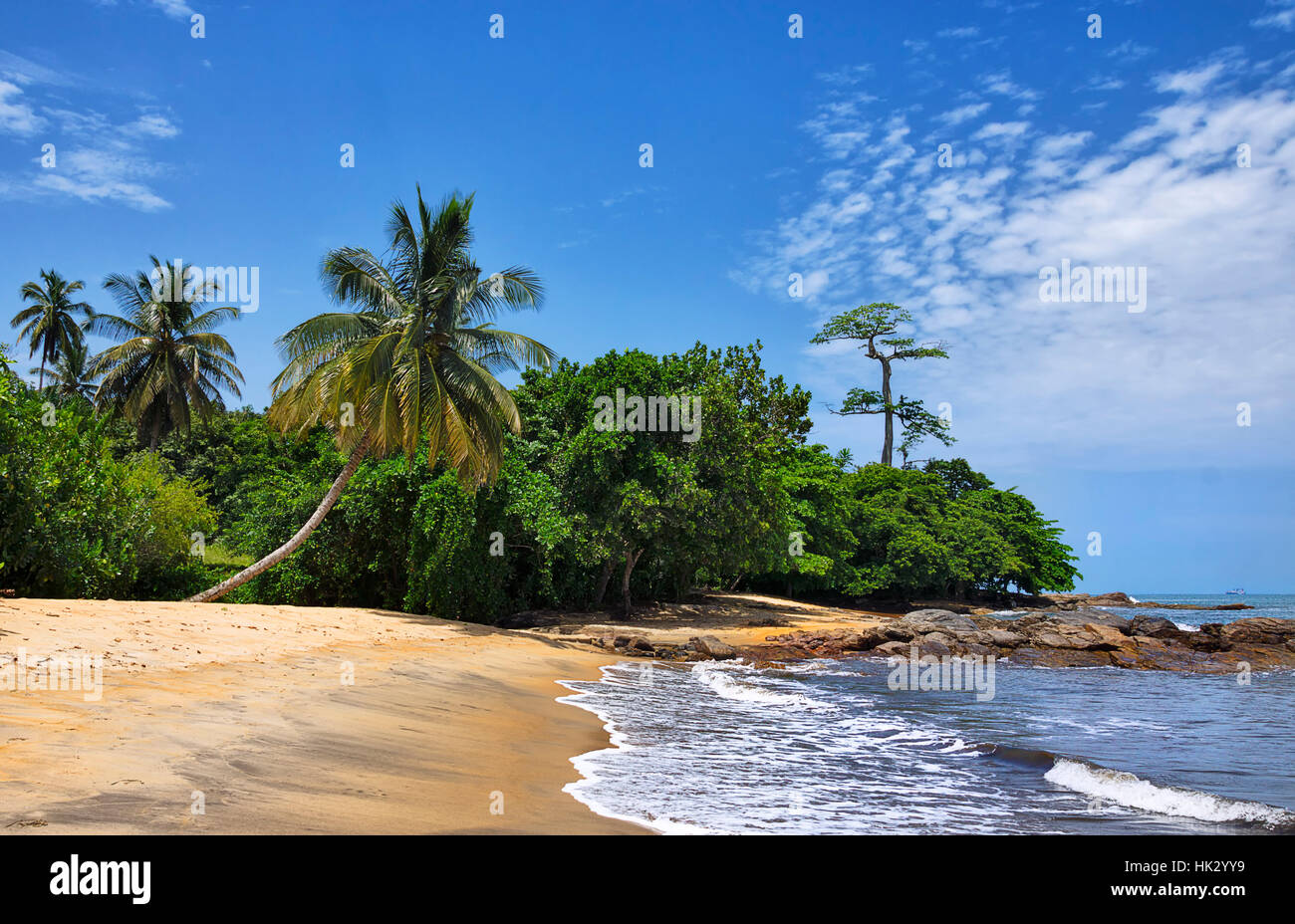 africa, beach, seaside, the beach, seashore, sandy beach, cameroon ...