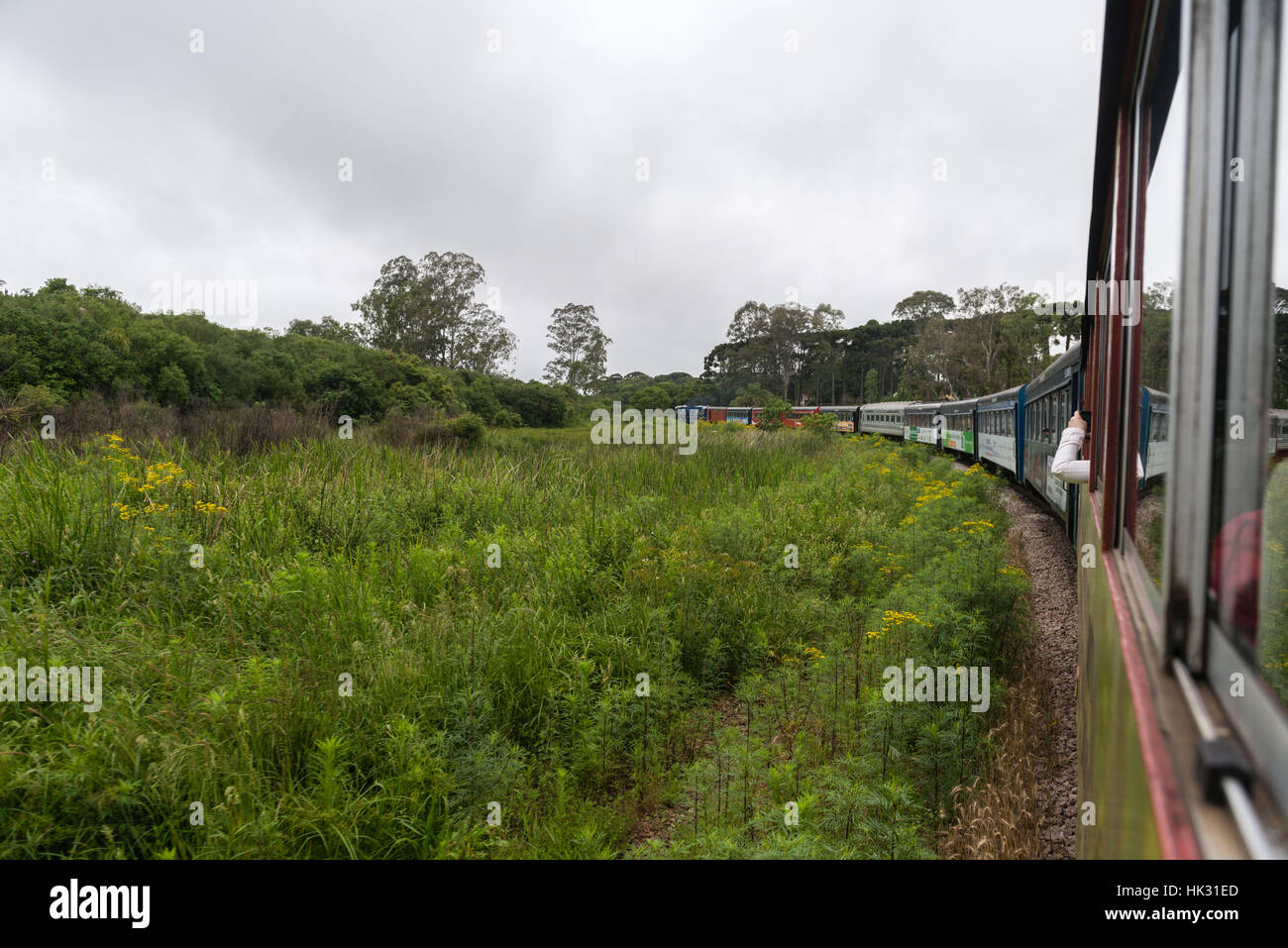 A tour through the cloud forest, with the Serra Verde Express from ...