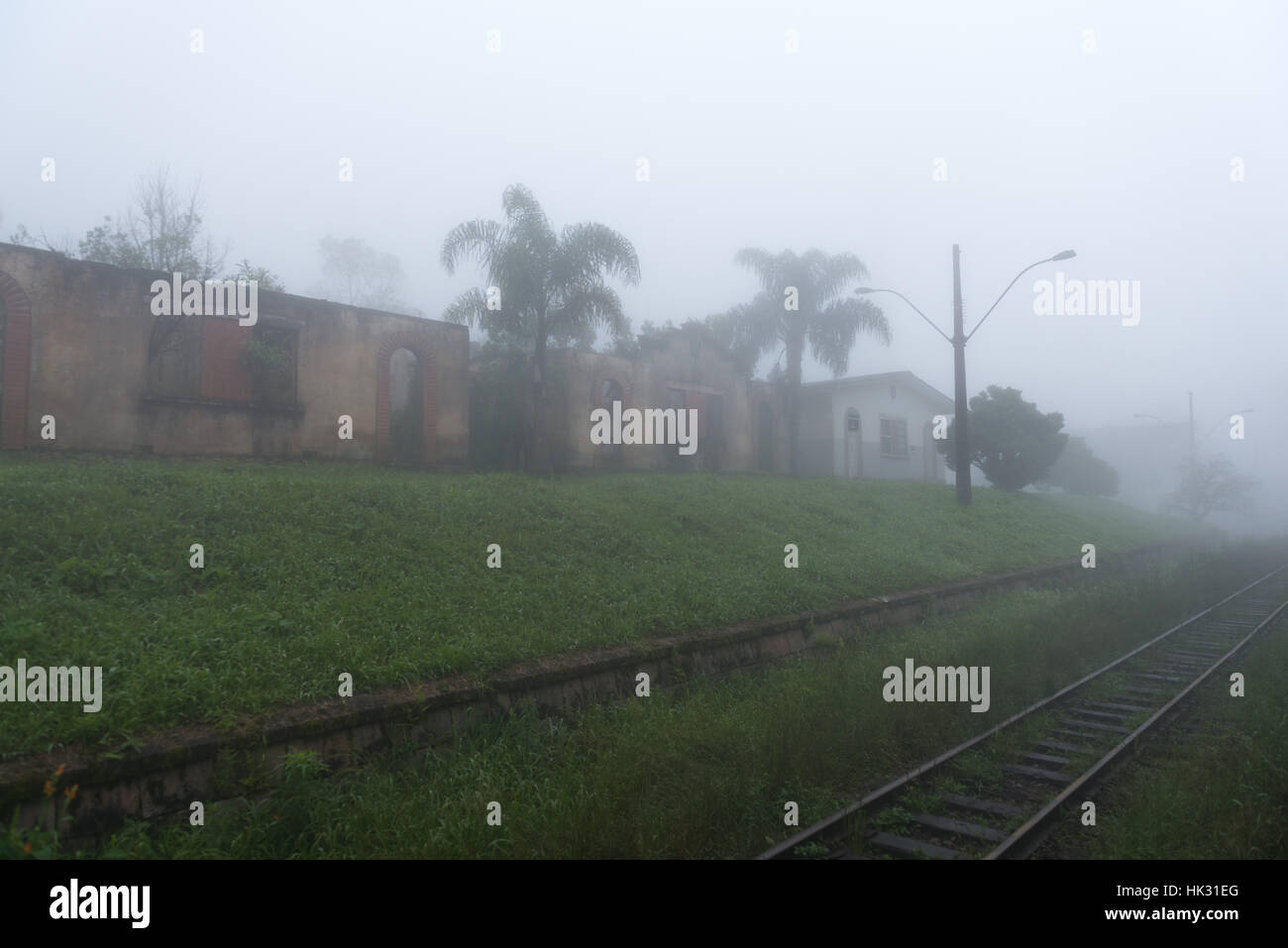 A tour through the cloud forest, with the Serra Verde Express from ...