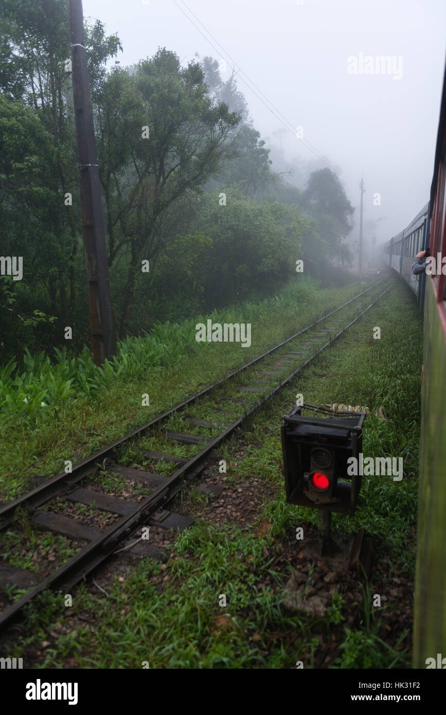 A tour through the cloud forest, with the Serra Verde Express from ...