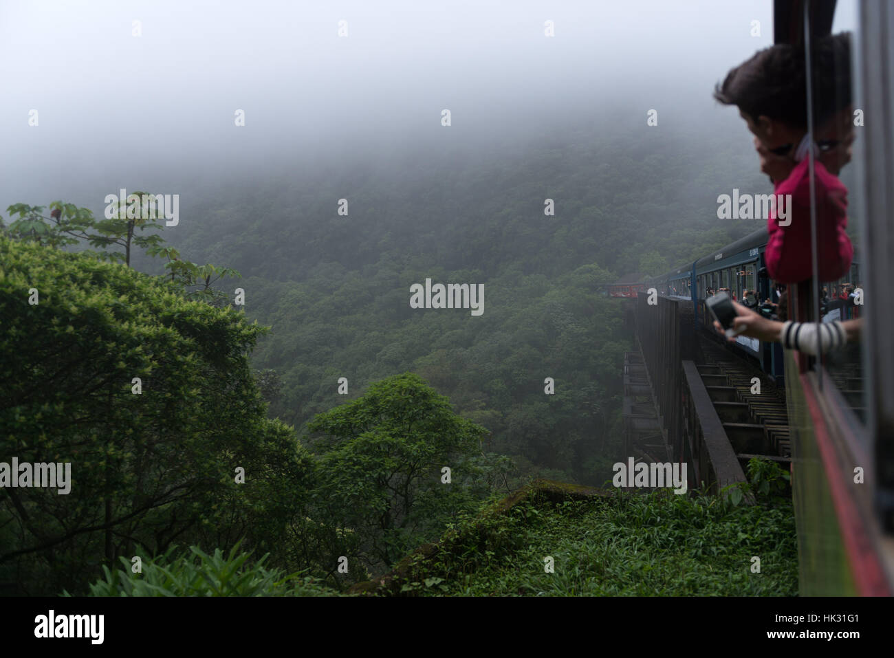 A tour through the cloud forest, with the Serra Verde Express from ...