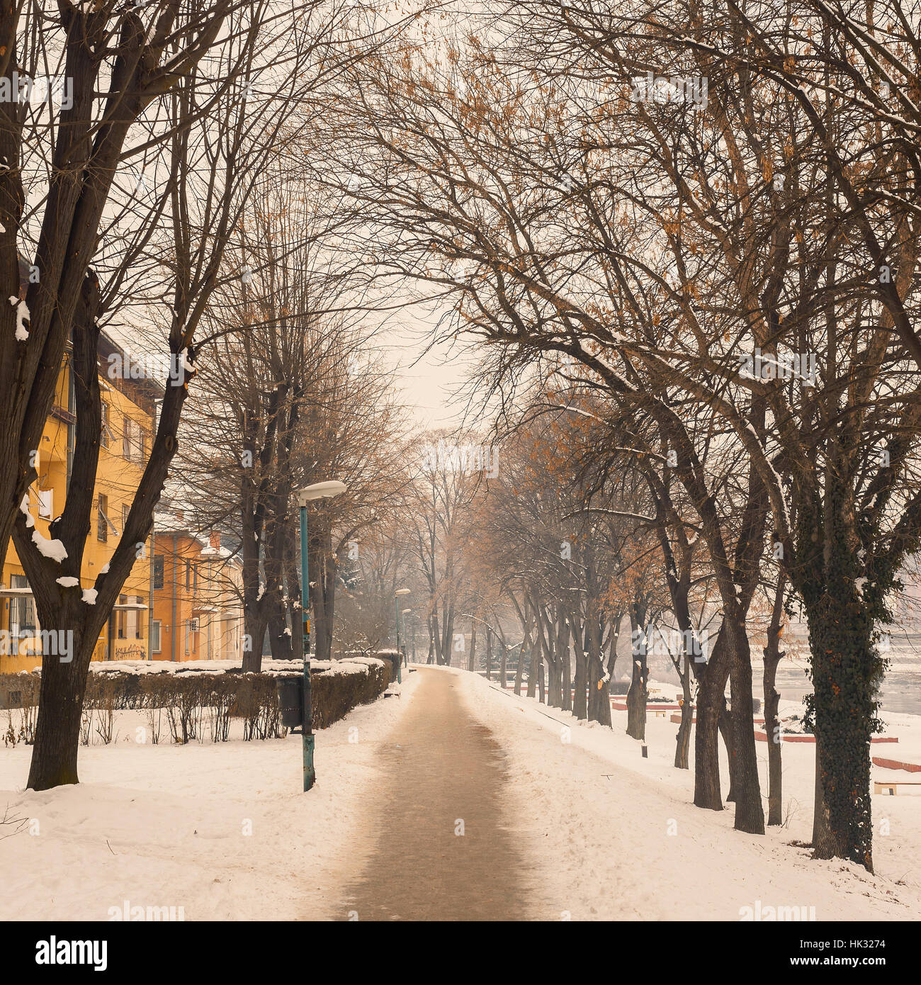 Outdoor environment hi-res stock photography and images - Alamy