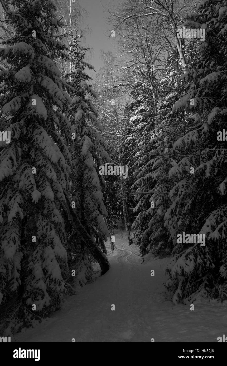 Swedish winter landscape Stock Photo - Alamy
