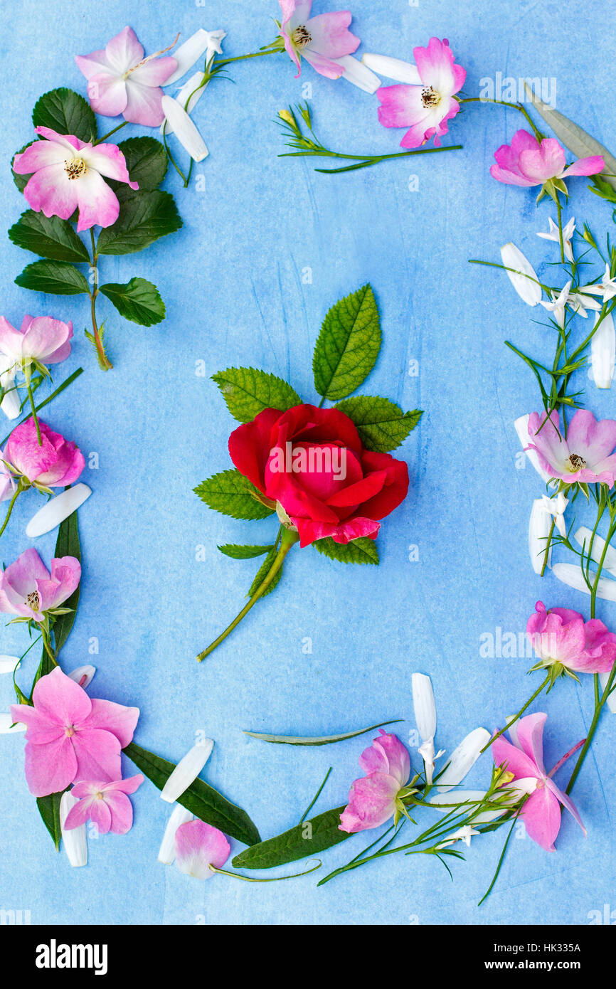 Beautiful Spring frame of flowers on blue background Stock Photo - Alamy