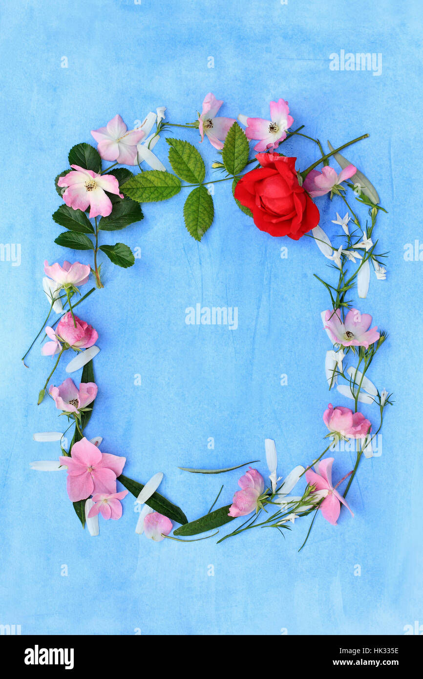 Beautiful Spring frame of flowers on blue background Stock Photo - Alamy