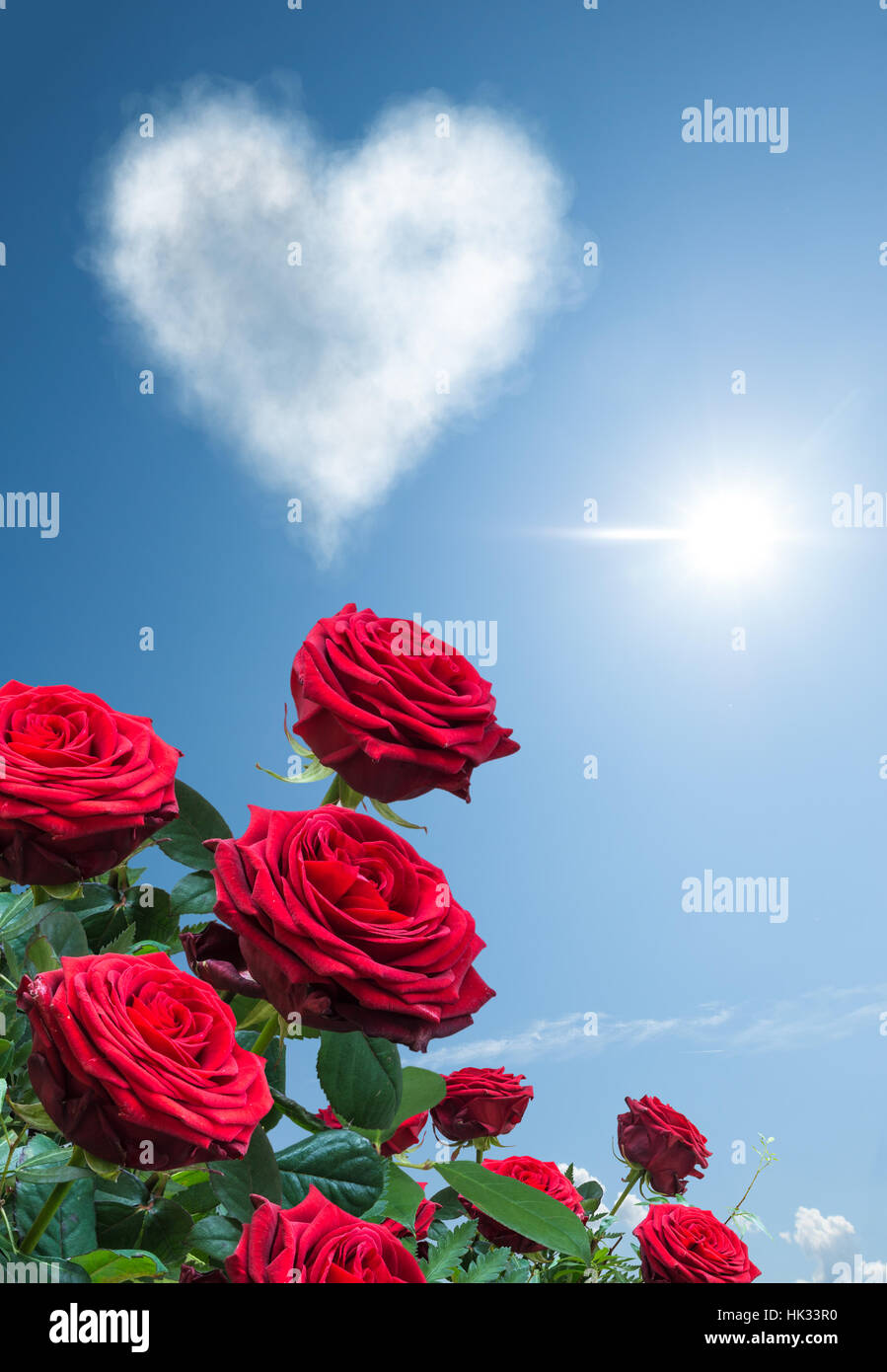 declaration of love Stock Photo - Alamy