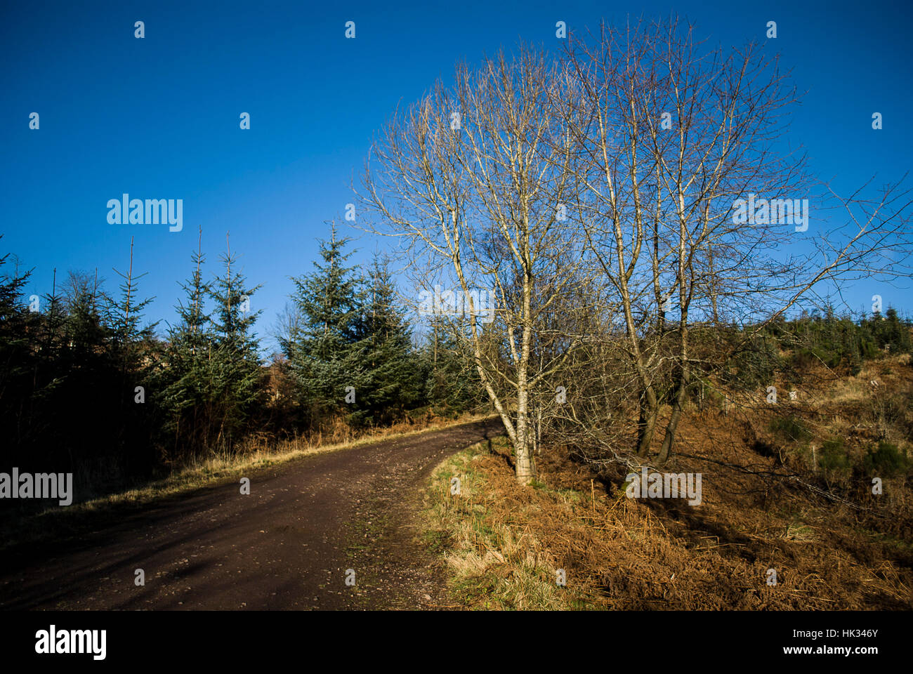 The Knock, Perthshire, Scotland Stock Photo - Alamy
