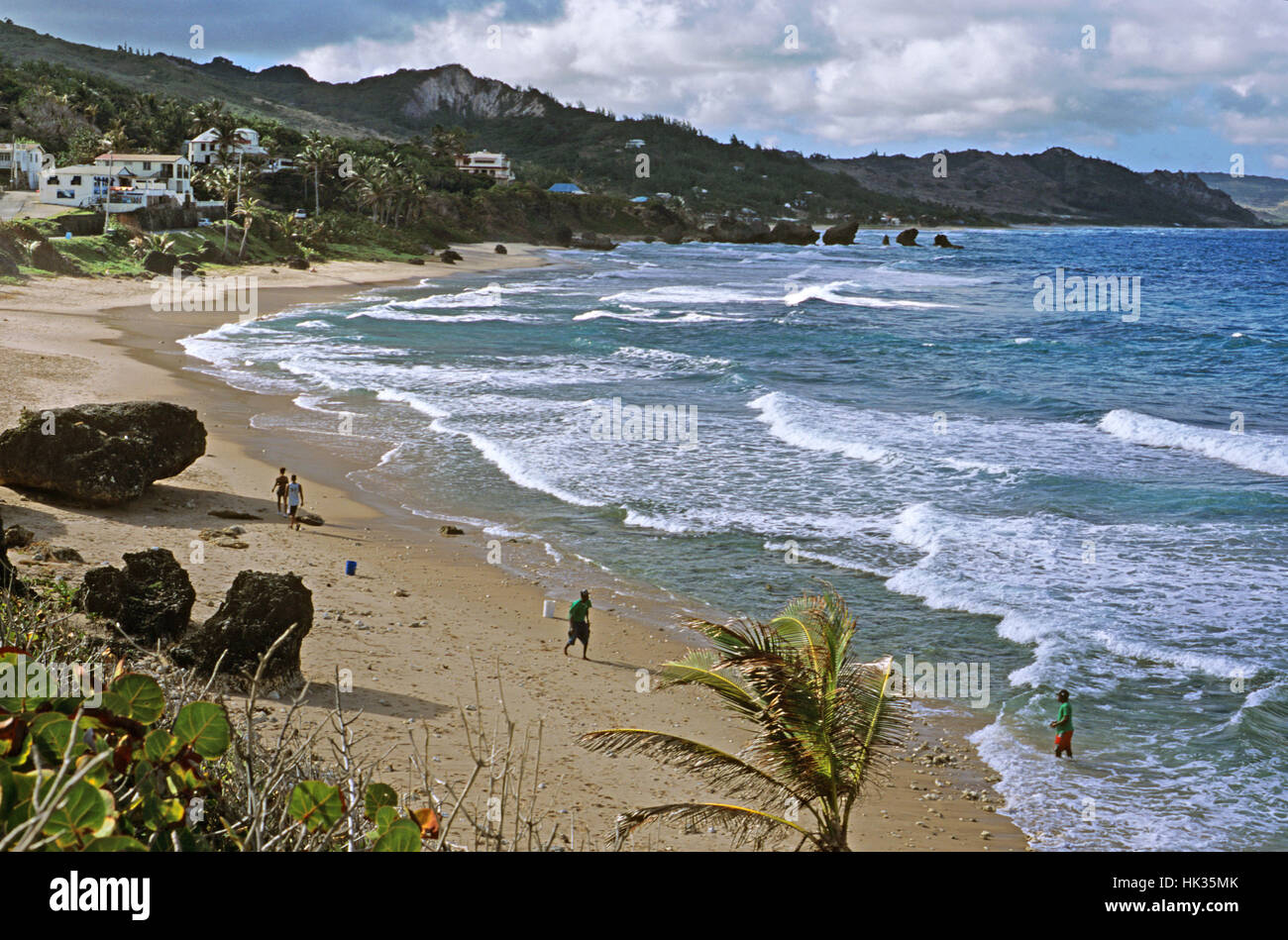 Stunning Bathsheba beach, Barbados, Caribbean Stock Photo - Alamy
