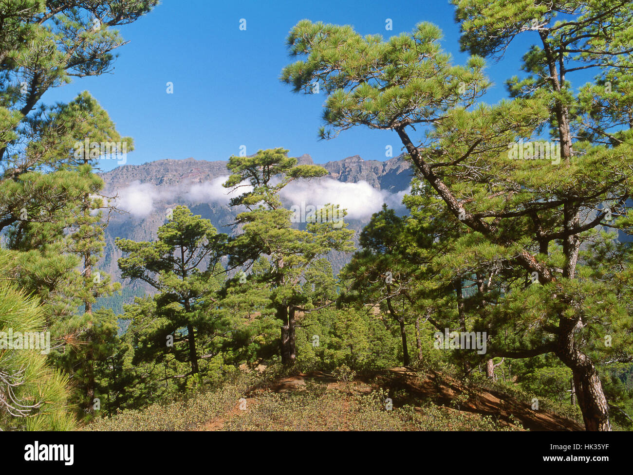 Caldera de Taburiente National Park, La Palma, Canary Islands, Spain ...
