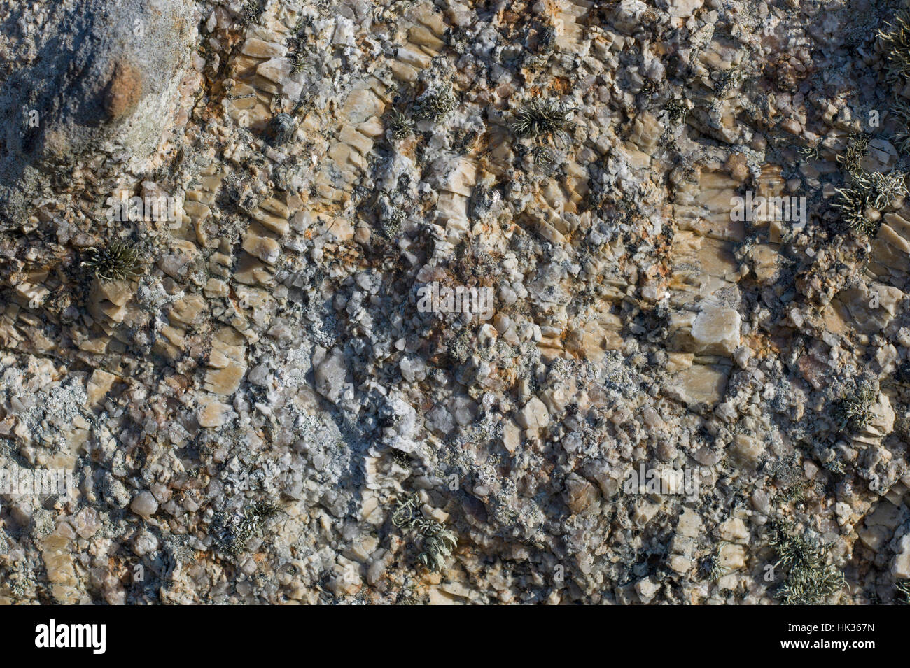 Granitic texture hi-res stock photography and images - Alamy