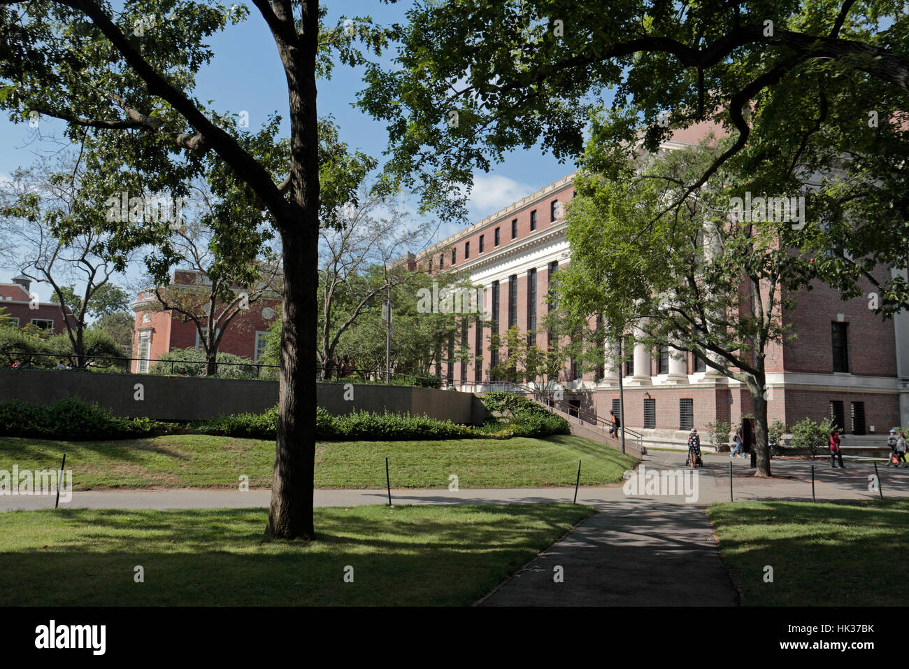 Harry elkins widener library hi-res stock photography and images - Alamy