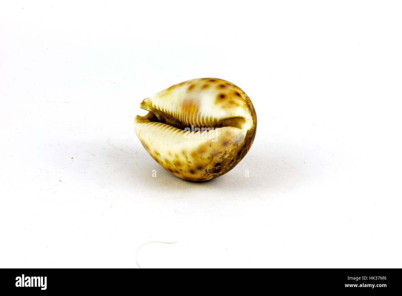 Objects on beach Cut Out Stock Images & Pictures - Alamy