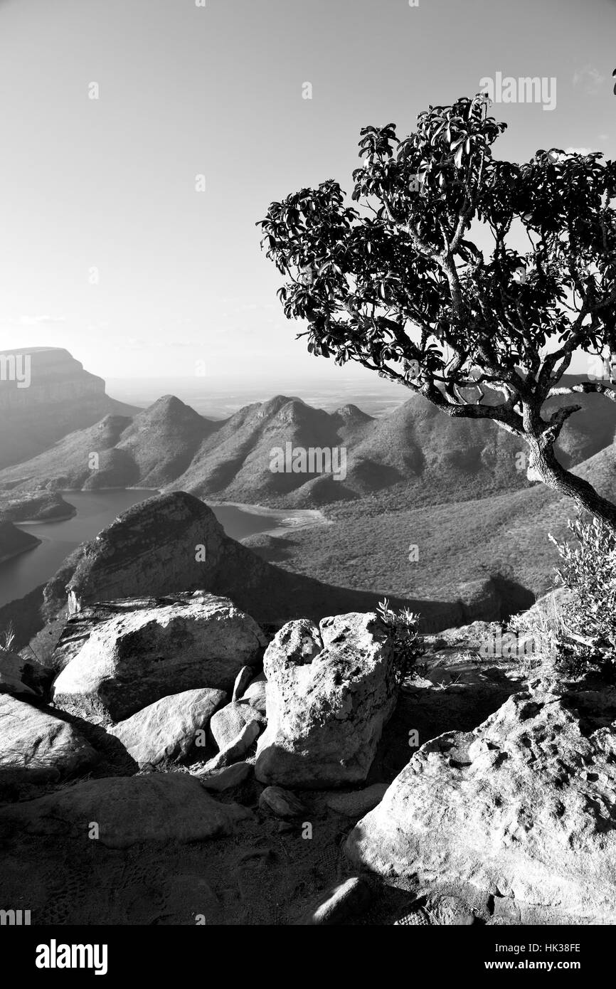 blur in swaziland mlilwane wildlife nature reserve mountain and tree ...